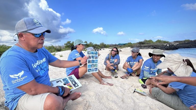 “Guardians of Marine Life” activities begin with monitor training - GLF